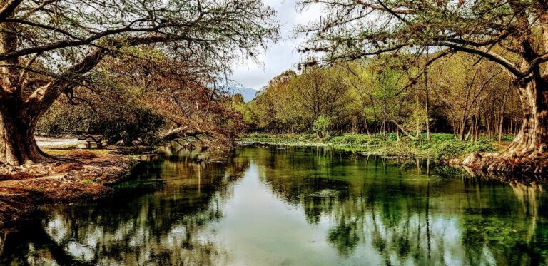 Ganadoras 4ta. edición